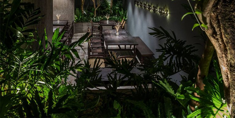 Top Plants for Restaurants: What to Put in Your Decorations